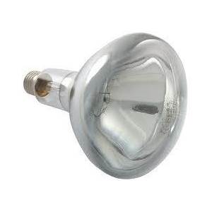 Infrared 250w 240v E27/ES Clear Hard Glass Heat Light Bulb - 125mm Ref ...
