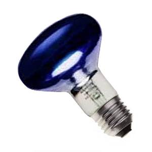 Spot Bulb Blue 240v 60w E27/ES R80 Crompton Lighting — Easy Light Bulbs